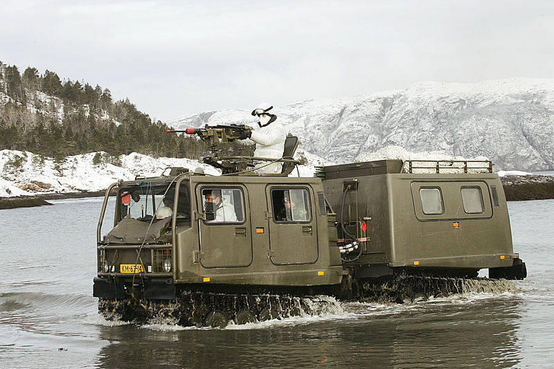 Double-Jointed & Popular: The Bv Family of Infantry Support Vehicles ...